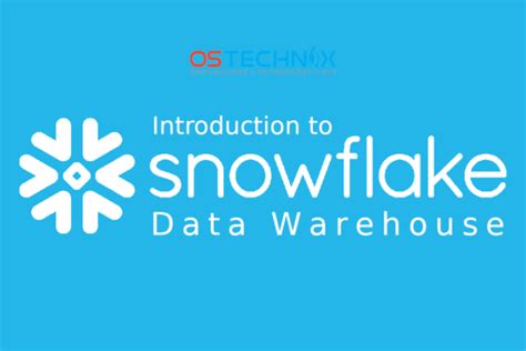 Snowflake Role Based Access Control Rbac Explained Ostechnix