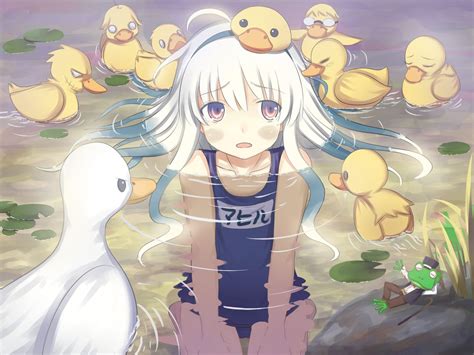 Swimsuit Anime Wallpapers Wallpaper Cave