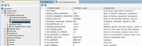 Current Database Properties Oracle Sql Developer
