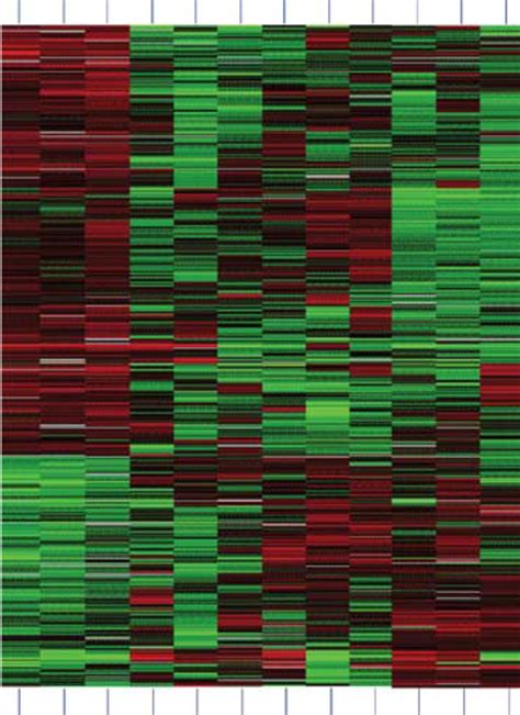 Heatmap Of Cluster Analysis Heatmap Green Upregulated Genes Black
