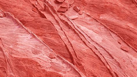 Easd E Learning Provided By Leading Diabetes Academics