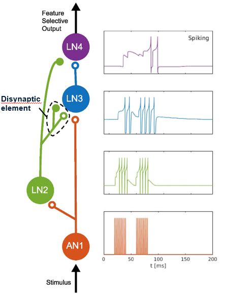 Neuromorphic Computing For Physics Applications Artofit