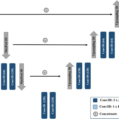 Anisotropic Network Architecture With Settings For The Prostate Download Scientific Diagram