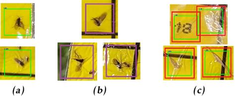 Figure 6 8 From Detection Of Pests In Agriculture Using Machine Learning Semantic Scholar