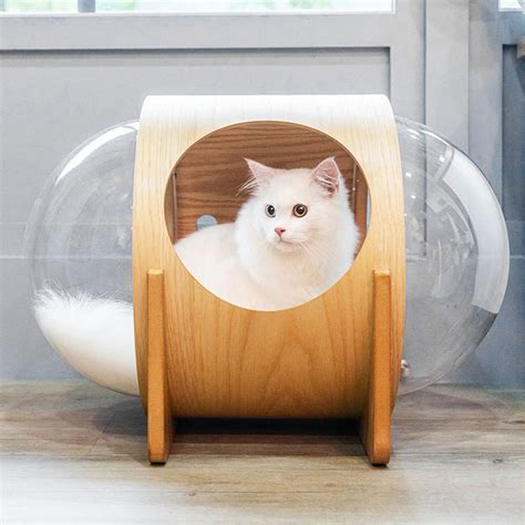 บ้านแคปซูลแมว หลุมแมวอวกาศแบบตั้งพื้น Chuno หลุมใส 2 ด้านพร้อมหมอนนุ่ม Chuno เฟอร์นิเจอร์และ