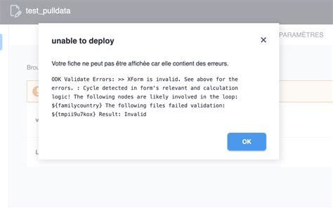 Xls Form Pulled Data Invalid Validation Form Building Kobotoolbox Community Forum