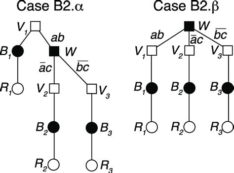 The Three Case B2 Planar Maptrees For Three Regions On The Surface Of