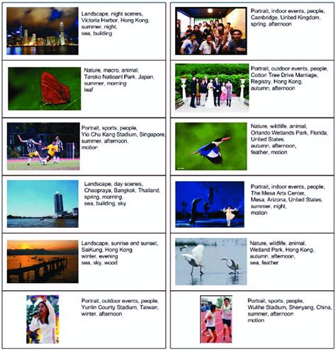 Semantic Annotation Of Images Download Scientific Diagram