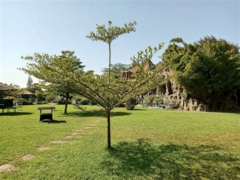 Infinix Note Pro Review