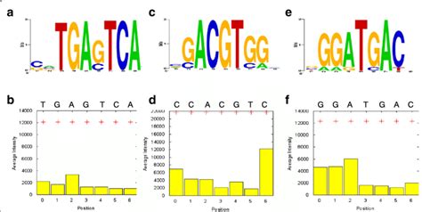 Identification Of Binding Motifs Of Recombinant Ossmf1 From E Coli By