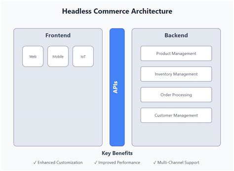What Is Headless Commerce A Comprehensive Guide To The Future Of Ecommerce Blaze Commerce