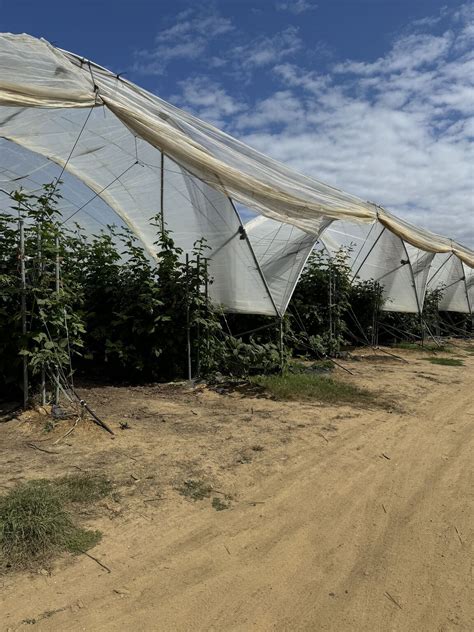 Lily Strong On Linkedin A Great Day With Dps Looking At All Things