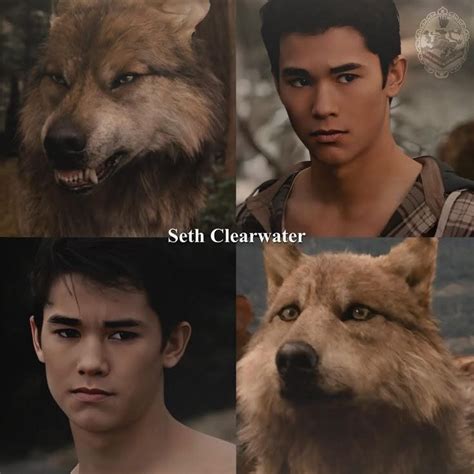 The Wolves 10 Pack Movie Twilight Saga Wolf Twilight Characters