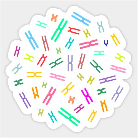 Human Colour Coded DNA XY Dna Sticker TeePublic