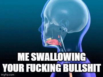 Swallow  Swallow Discover And Share S