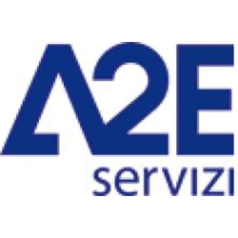 Il Gruppo Asm Asm Pavia