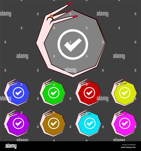 Check Mark Sign Icon Checkbox Button Set Colourful Buttons Vector
