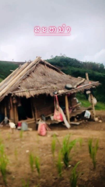 ສະຫນຳ ຫລວງພະບາງ Youtube