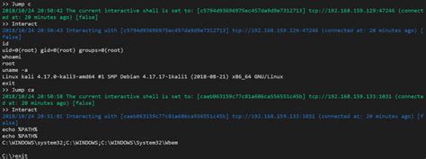 Platypus A Modern Multiple Reverse Shell Sessions Manager Written In Go Pentesttools