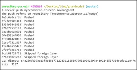 A Simple Guide For Containerization Of Aspnet E Commerce Application Cloudthat Resources