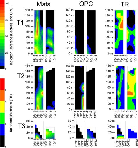Site P1 Spatiotemporal Graphs Of The Percentage Cover Of Bacterial Download Scientific Diagram