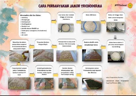 Perbanyakan Trichoderma Pdf