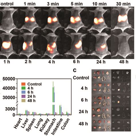 Nir Ii Fluorescence Imaging Of Digestive Tract A The Nir Ii