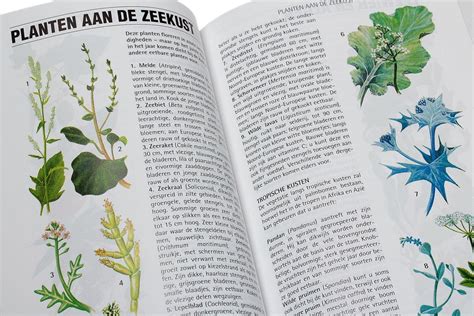 Sas Survival Manual Advantageously Shopping At Knivesandtools Ie