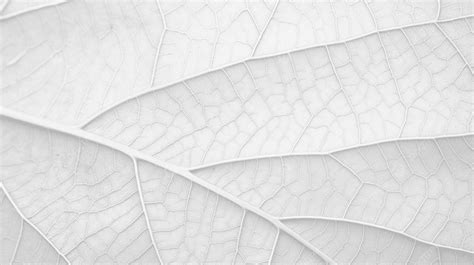 갈색 색조의 매혹적인 질감을 지닌 가을 잎을 가까이서 본 모습 잎 질감 식물 질감 매크로 Png 일러스트 및 이미지 에 대한 무료 다운로드 Pngtree