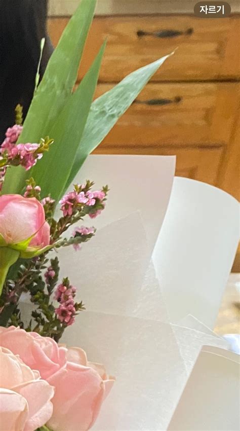 장미 옆에 있는 긴 잎 종류가 뭔가요 지식in