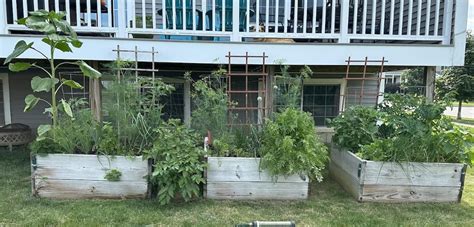 Building A Receipt Text Extraction App With Python And Llm Unleashing The Power Of Llms By