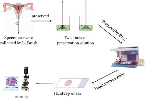 Liquid Based Cytology