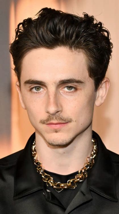 Timothée At The Academy Awards Nominees Dinner Tumbex