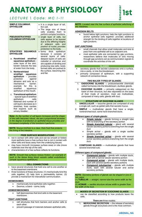 SOLUTION Chapter 4 Tissue Anatomy And Physiology Studypool