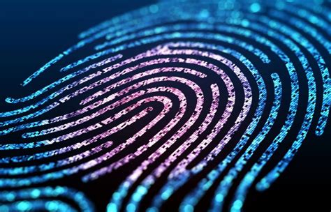 How Can Biometrics Protect Your Identity Experian