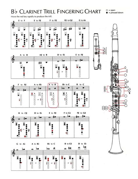 B Flat Clarinet Finger Chart