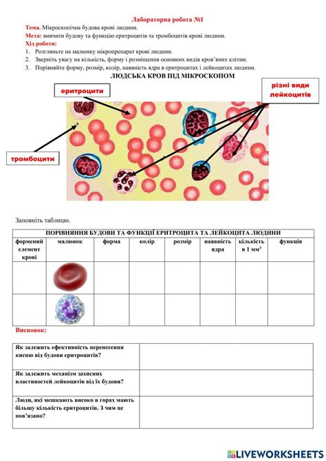 2522684 8 клас Мікроскопічна будова крові Надія