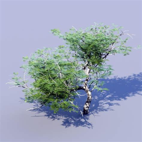 Procgen In Unity Runity3d