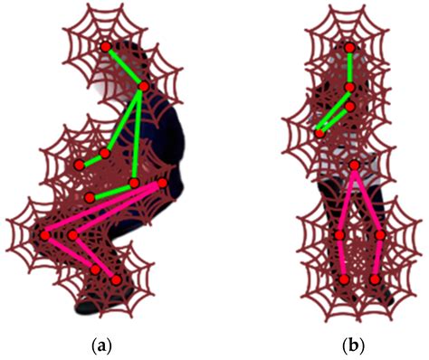 A Multimodal Iot Based Locomotion Classification System Using Features