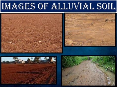Alluvial Soil Pptpdf