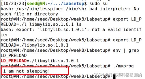 网络攻防 环境变量与setuidsetuid后环境变量怎么传递 Csdn博客