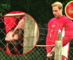 Prince William Page Lpsg