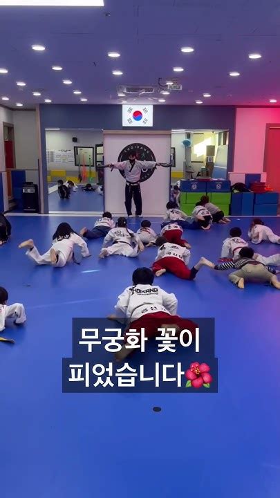 무궁화꽃이 피었습니다🌺 태권도 금요일 놀이 남양주 유아체육 무궁화꽃이피었습니다 Youtube