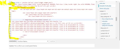 How To Insert Jquery In Wordpress Theme Javascript The Freecodecamp Forum