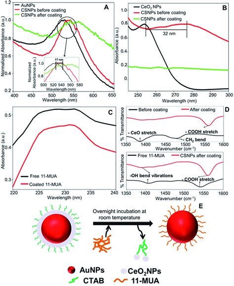 Uv Vis Spectra Of Aunps Au Ceo2 Csnps Before And After 11 Mua Coating Download Scientific
