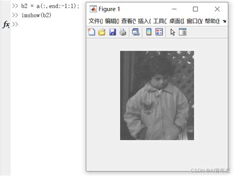 【数字图像处理matlab系列】使用数组索引进行简单的图像裁剪、二次取样操作matlab图片数组 Csdn博客