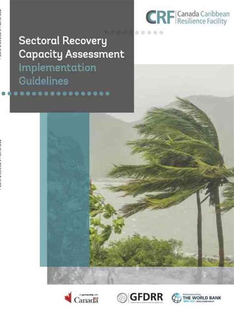 Sectoral Recovery Capacity Assessment Implementation Guidelines Irp