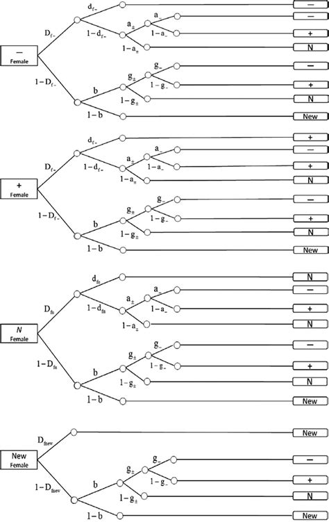 Buchner Et Als 2009 Source Memory Model As Adapted For Experiments