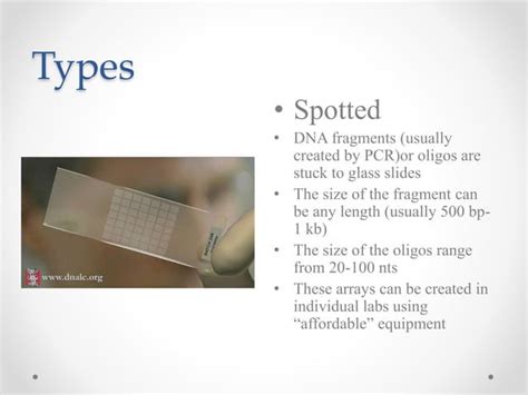Dna Microarray Introdution And Application Ppt