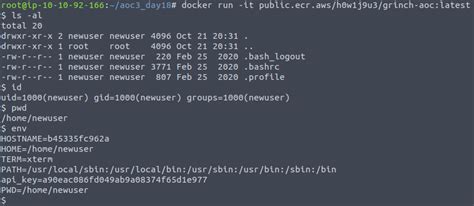 day 18 container security advent of cyber 3 tryhackme challenge